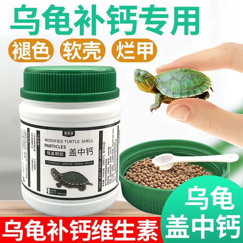 Turtle Calcium Deficiency High Calcium Calcium Supplement Supplement ...