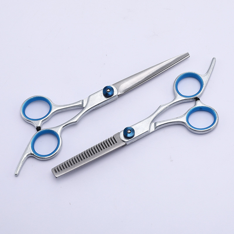6'' Entry-Level Professional Hair Scissors Thinning Cutting Shears ...