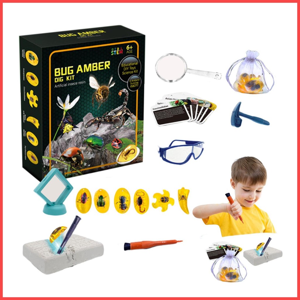 Fly Amber Dig Kit Fly Model Dig Kit Interactive STEM Toy Science Kits ...