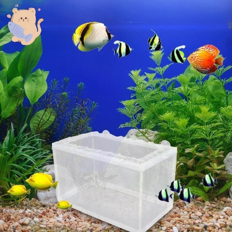 [YDE] Fish Tank Breeding Isolation Box , Separation Net, Isolation Net ...
