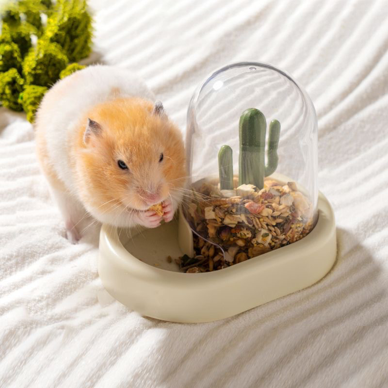 Hamster Feeder Kettle Sugar Glider Rutin Chicken Hedgehog Djungarian ...