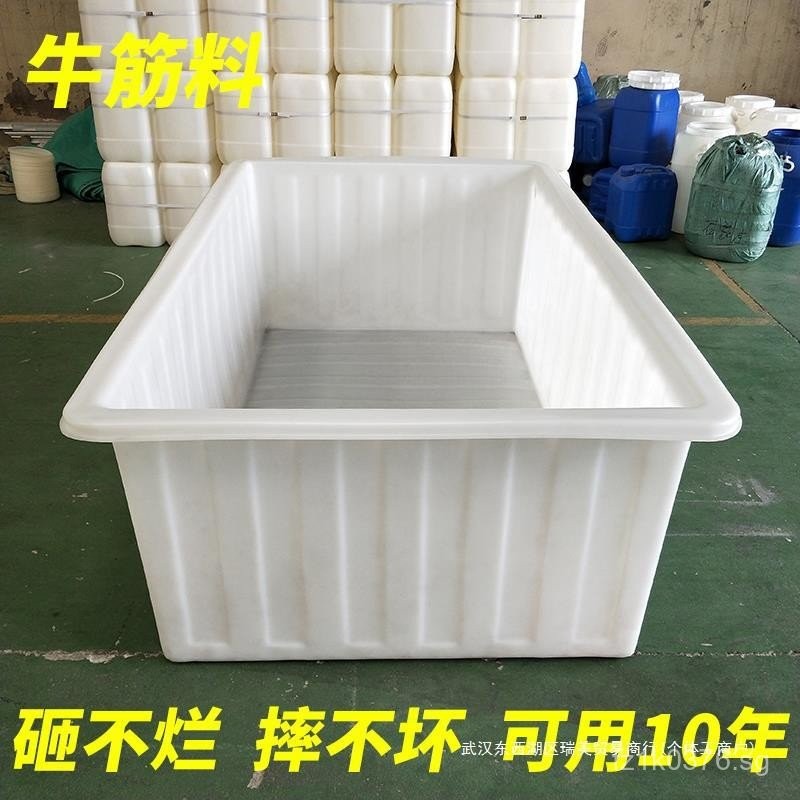 Plastic Breeding Tank Beef Tendon Fish Storage Water Bucket Shallow ...