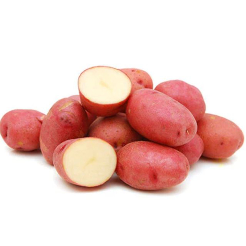 Mini Potato Washed Red 500g | Shopee Singapore