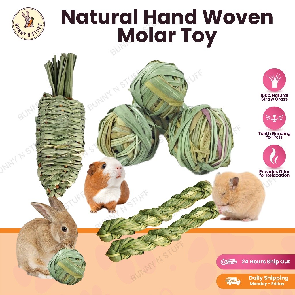 Natural Hand Woven Molar Toy Rabbit Toys Watergrass Chew Rabbit Treat ...