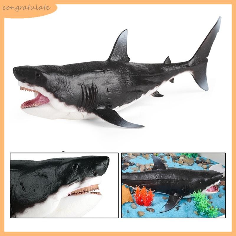 CONG Realistic Megalodon Model for Science Exhibits and Classrooms ...