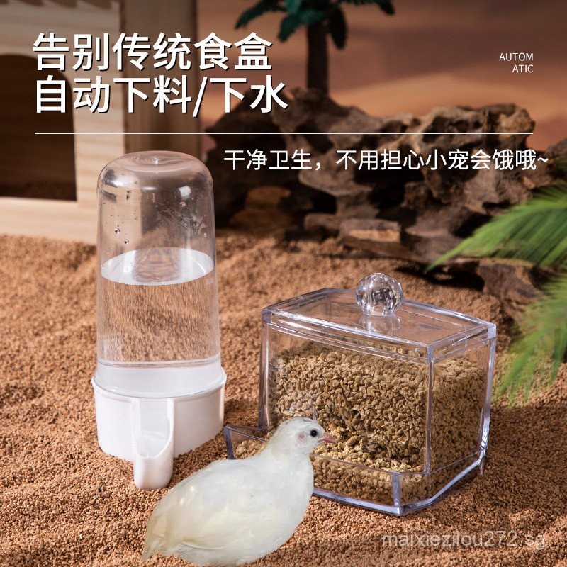 Rutin Chicken Feeder Water Feeder Chicken Trough Food Basin Quail Drink ...