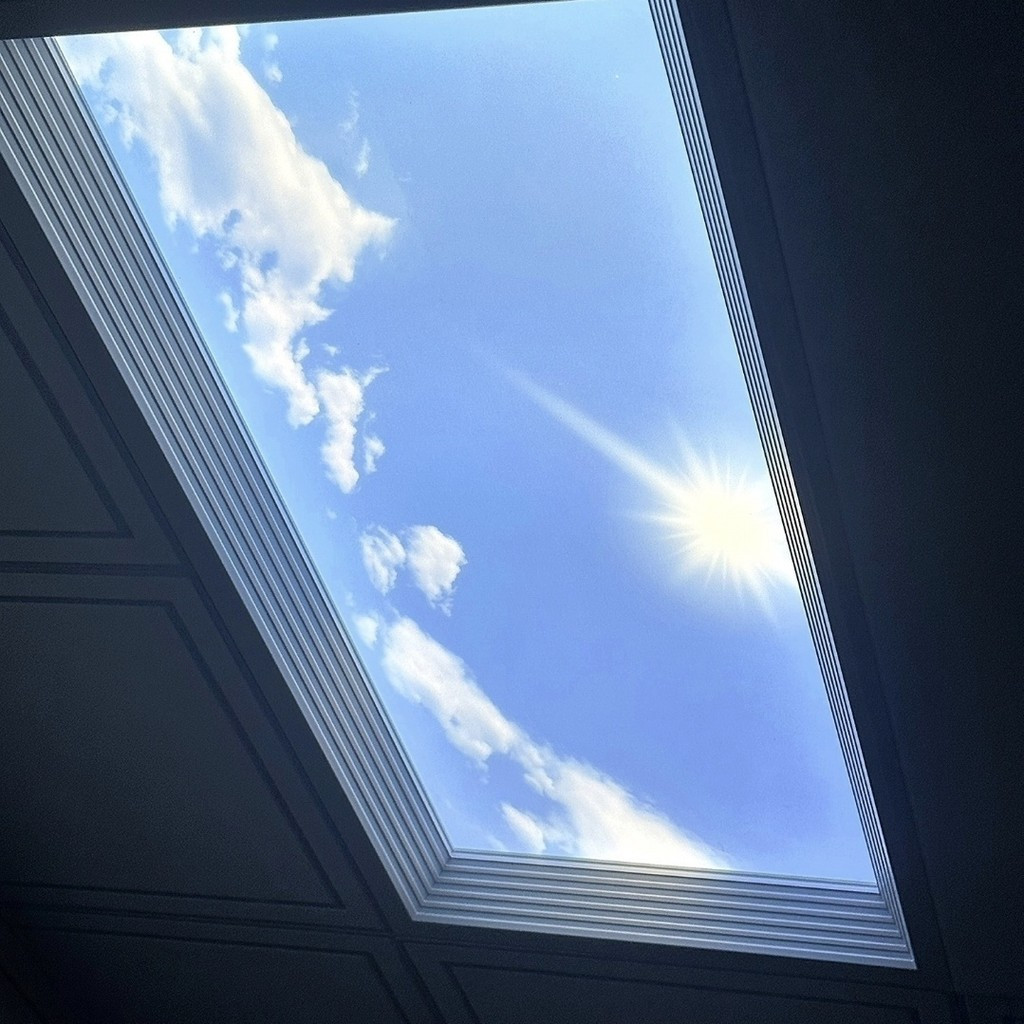 Full Spectrum Hot SaleledSky Light Sky Light Integrated Ceiling Sunny ...