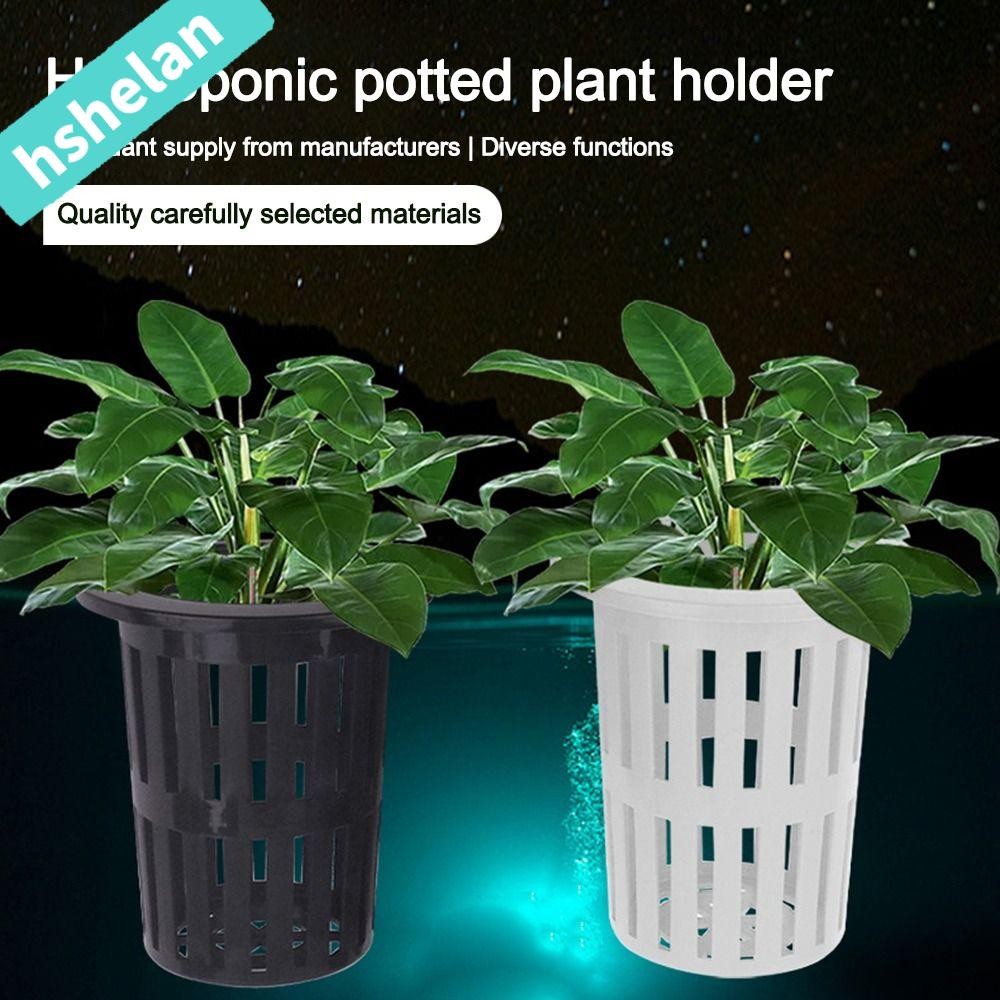 HSHELANXB Fish Tank Hydroponic Planting Basket, Water Plant Landscape ...