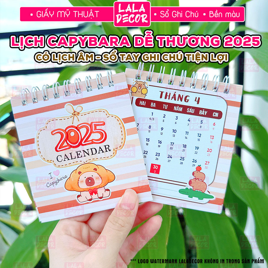 Cute Little Capybara 2026 Desk Calendar, Capybara Calendar Notebook ...