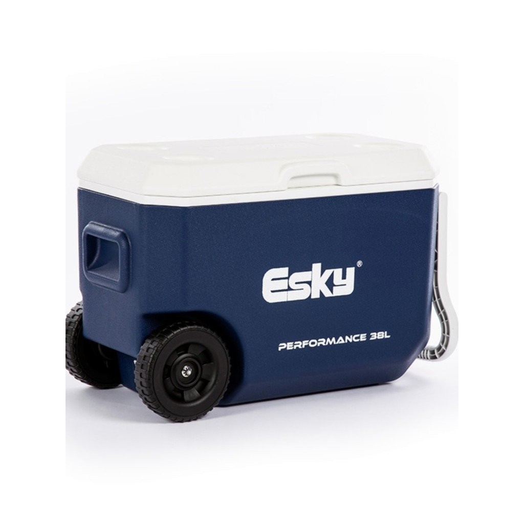 esky Incubator38Outdoor Trolley Refrigerator Car-mounted Food ...