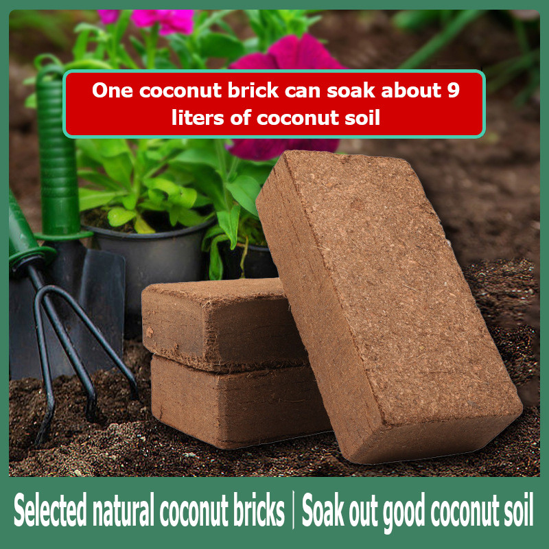 【SG Inventory】(300g)Coconut brick nutrition soil,coconut bran,coconut ...