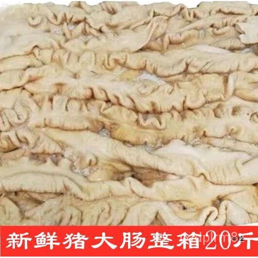 Fresh Pork Intestine Intestine Clean Disposable Fresh Large Intestine ...