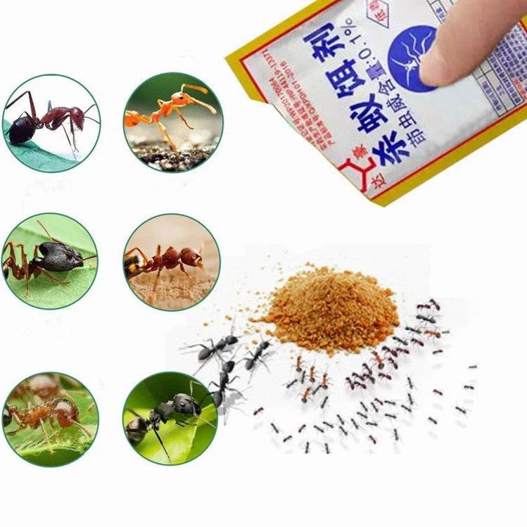 1pcs Ant Killing Bait Powder Insecticide Bug Beetle Insect Yellow Black ...