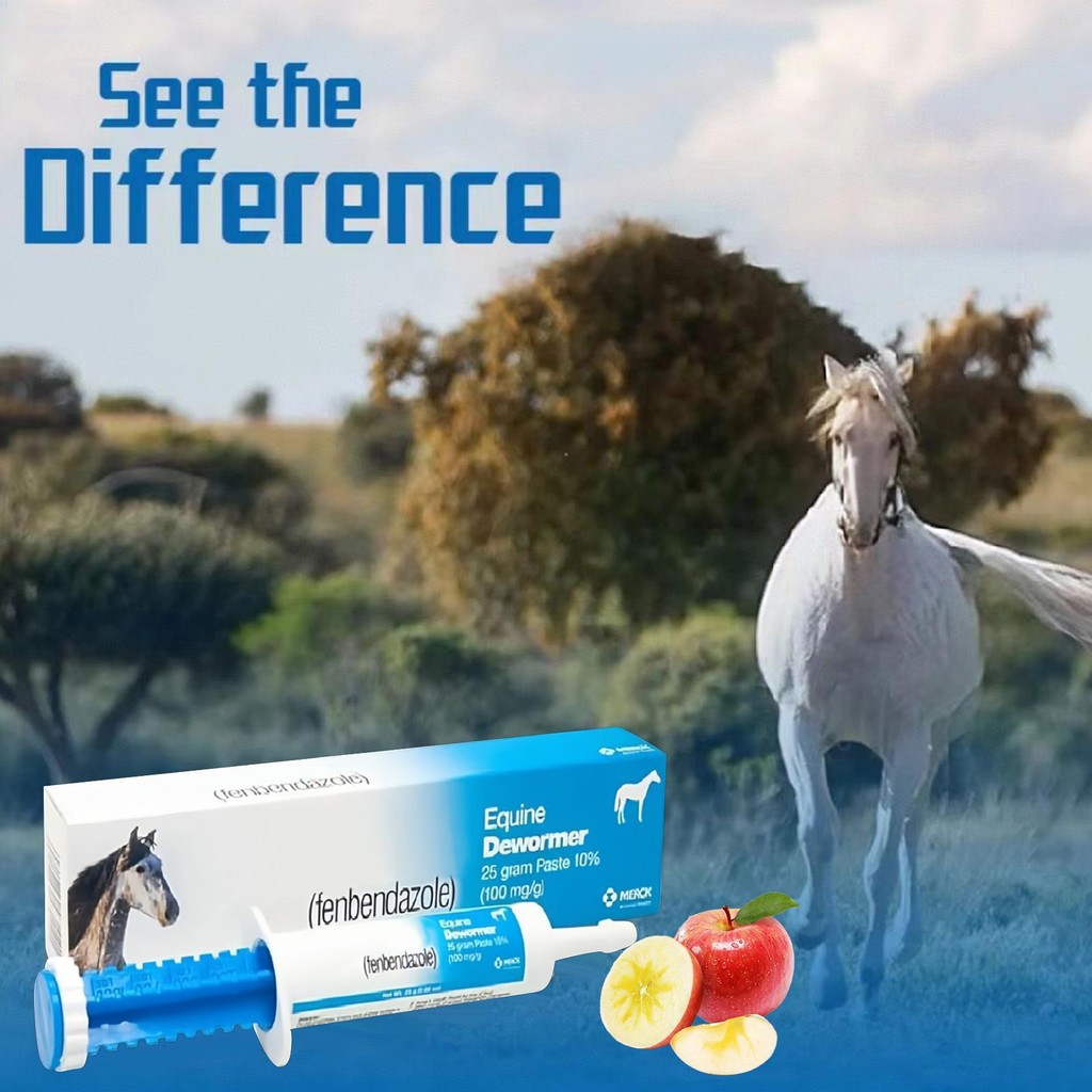 Horse Dewormer 25g Equine Health Paste Intestinal Wellness Supplement ...