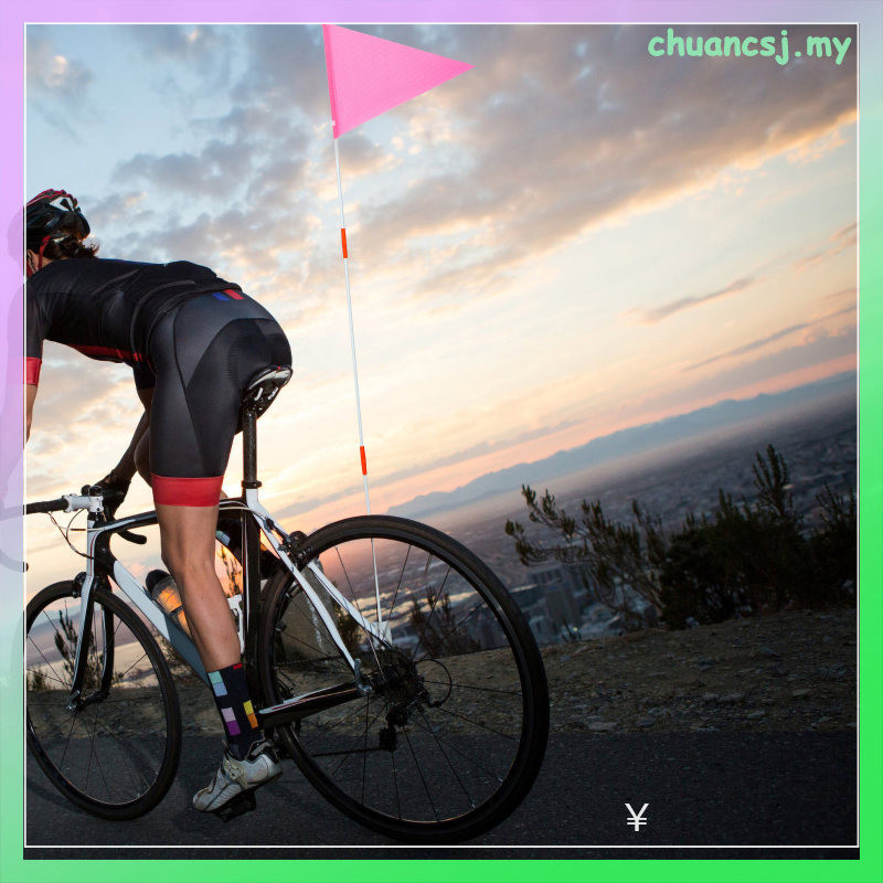 Flag Pole Flagpole Reflective Poles Safety Flags with Bike Cycling for ...