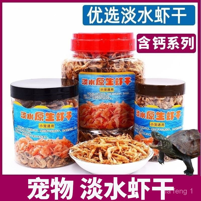 Turtle Small Dried Shrimp Feed Turtle Grain Fresh Water without Added ...