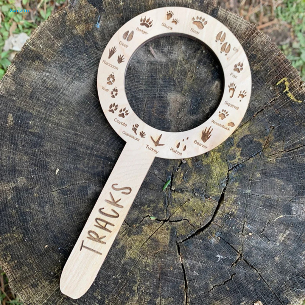 Wildlife Education Tool Animal Species Recognition Tool Wooden ...