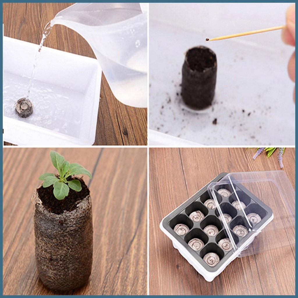 Peat Pods 10 Pieces Plant Starter Pods Seedlings Peat Pellets Nutrient ...