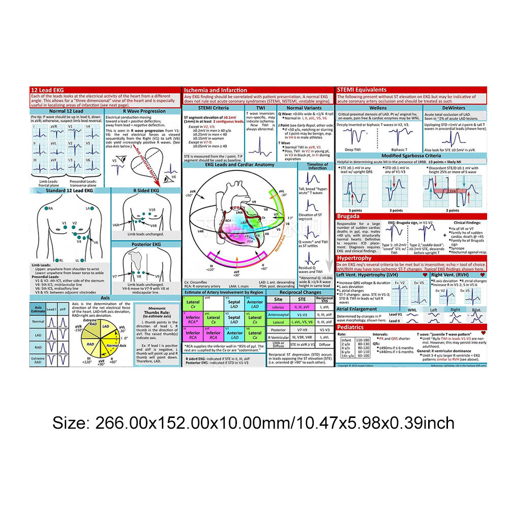 1/2/4 pcs EKG Pocket Guide EKG Pocket Nurses Guide for Nurses EKG Techs ...
