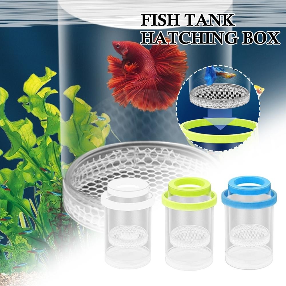 Plastic Floating Fish Breeding Isolation Box Aquarium Hatching Breeder ...