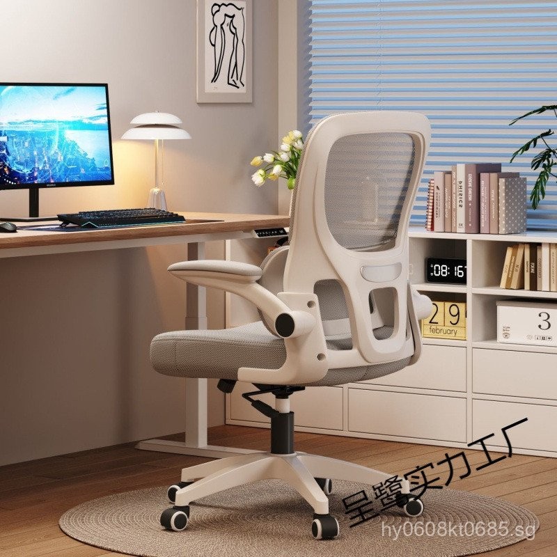Lumbar Support Computer Chair Ergonomic Chair Adjustable Swivel Home ...