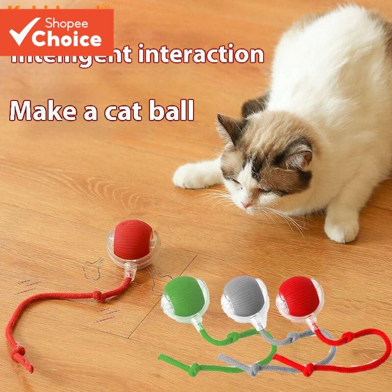 Self-Rolling Cat Toy with Moving Tail - Rechargeable Interactive Ball ...