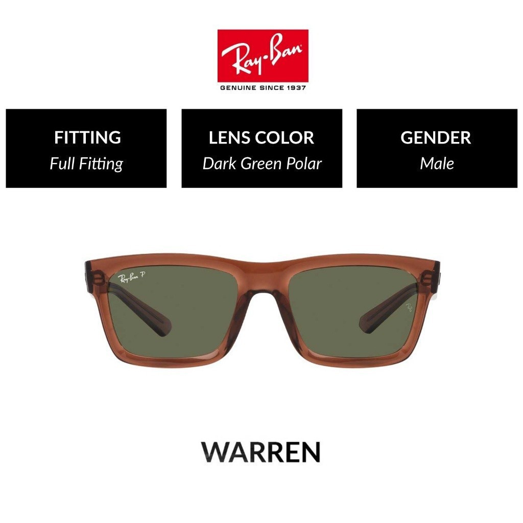 Ray-Ban Warren (Polarized) - RB4396F 66789A | Male Full Fitting ...