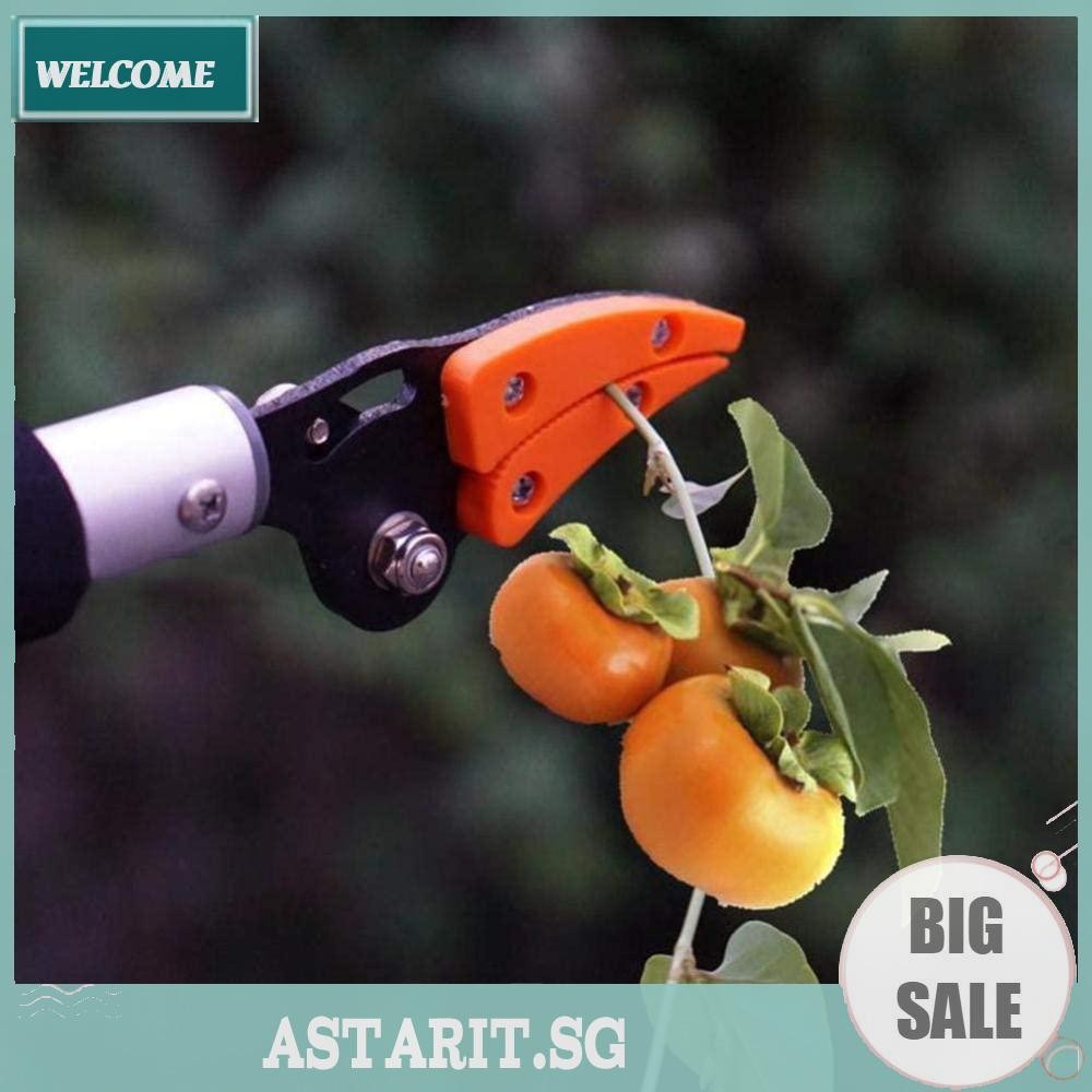 Fruit Picker Shear Gardening Tree Pruning Gripper Long Pole Cutter ...