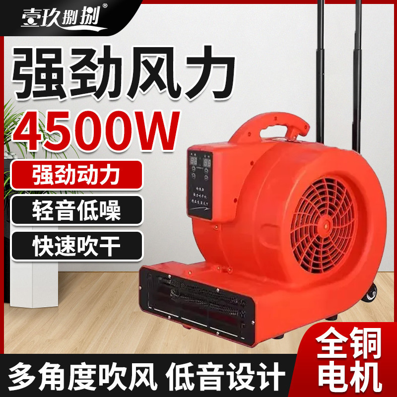Powerful Floor Blower Commercial High Power Dryer Hotel Carpet Toilet ...