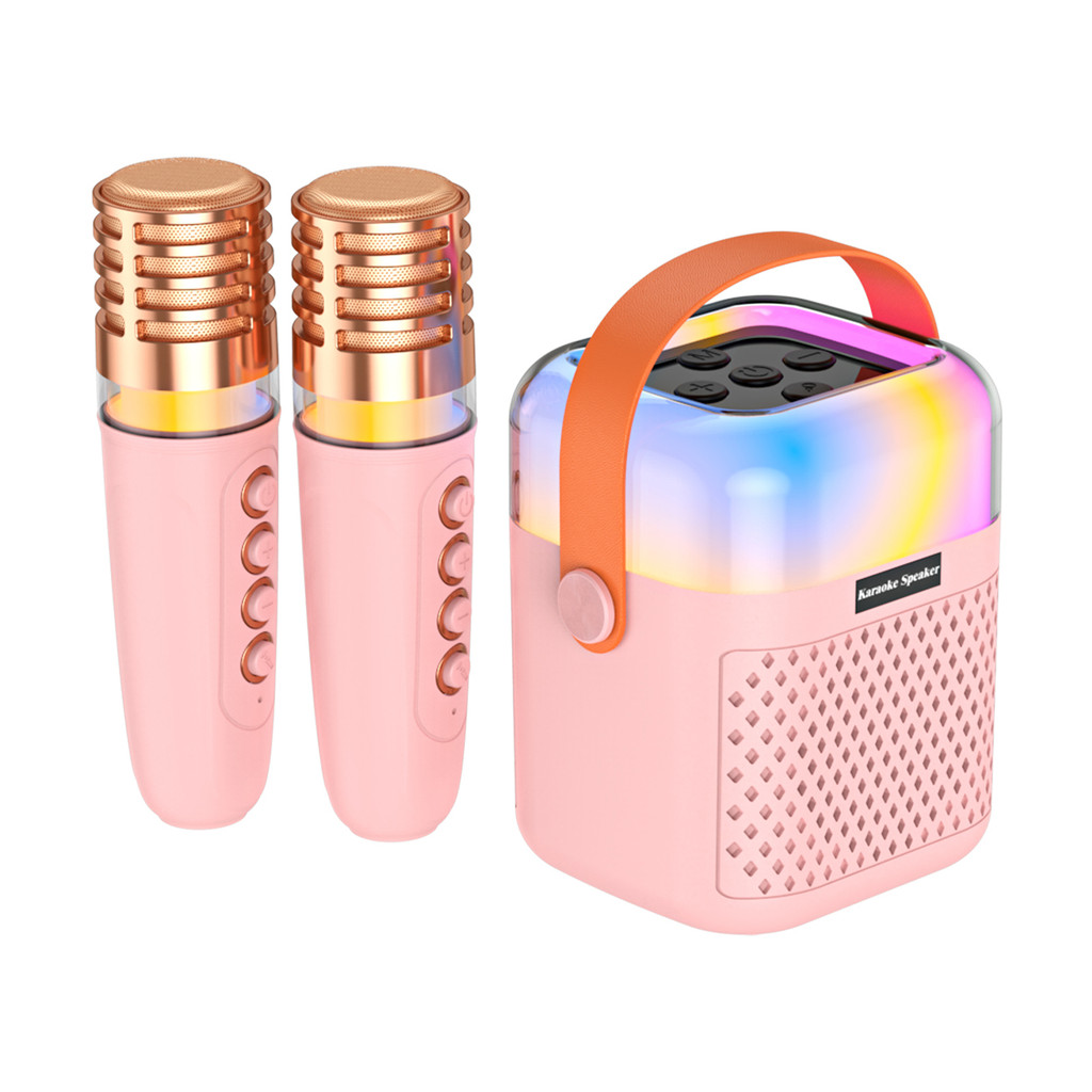 Karaoke Machine with 2 Wireless Microphones BT Microphone and Speaker ...