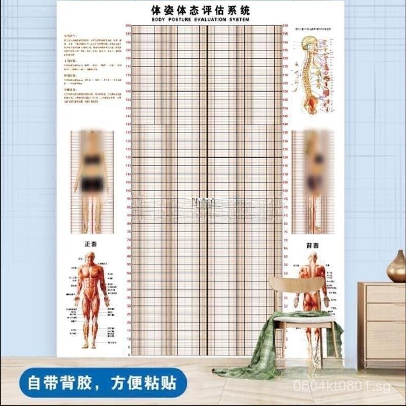 Assessment Chart Grid Body Measurement Posture Gym Personal Training ...