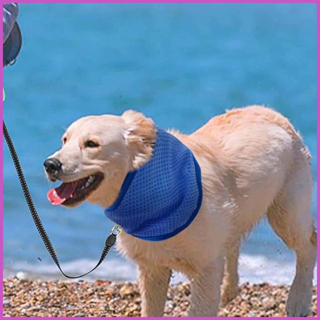 Cooling Neck Wraps for Dogs Pet Dog Cooling Neck Wraps Adjustable ...