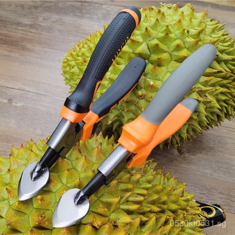 Open Durian^Durian Opener Tool for Opening and Peeling Durian, Durian ...
