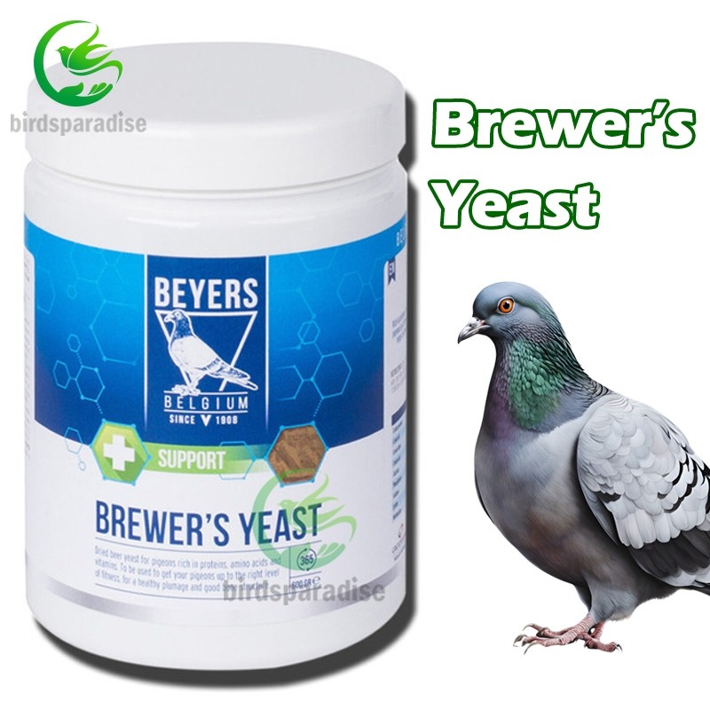 400g Beyers brewers yeast strengthen Pigeon's resistance good bone ...