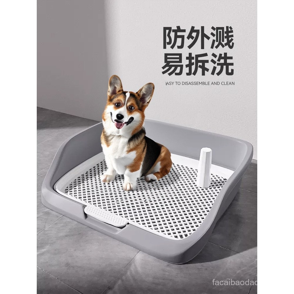 Dog Toilet for Small Dogs, Dog-Specific Potty Training Aid, Bichon Frise Dog Potty, Puppy ...