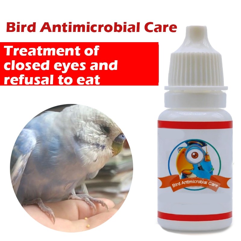 One Eye Cold for bird Medicated Eye Drops Birds and Pigeons lovebird ...