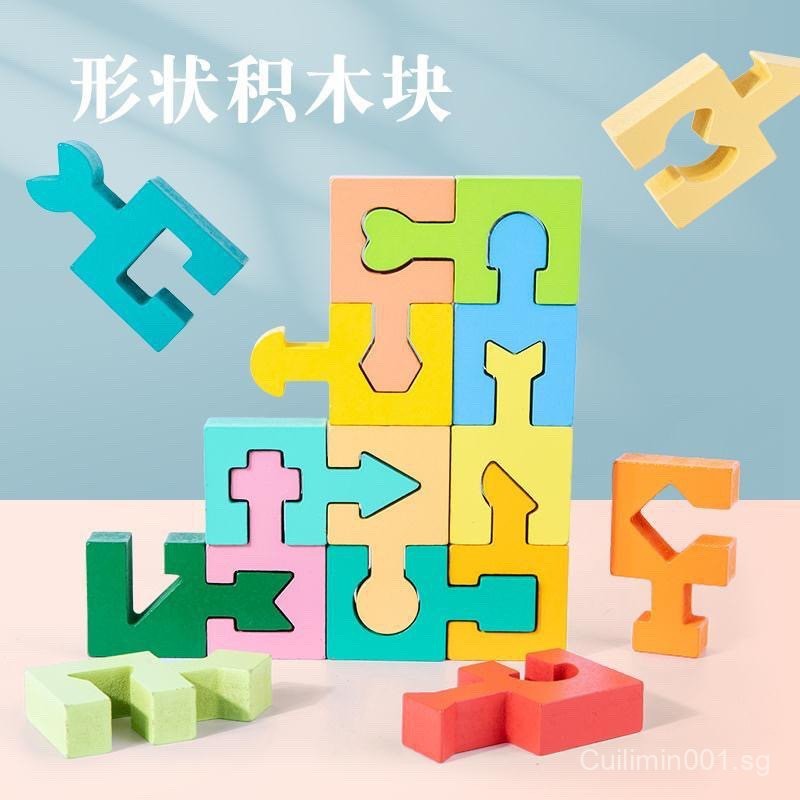 SG Shape Matching Building Blocks for Children Educational Logic ...