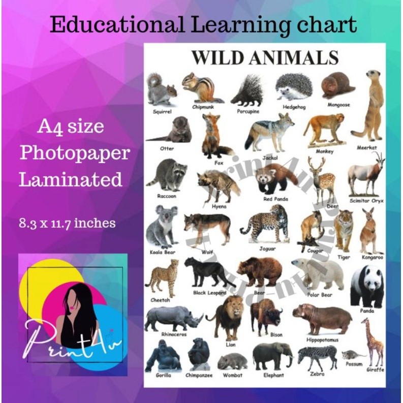 Wild Animals Learning Chart Laminated - A4size | Shopee Singapore