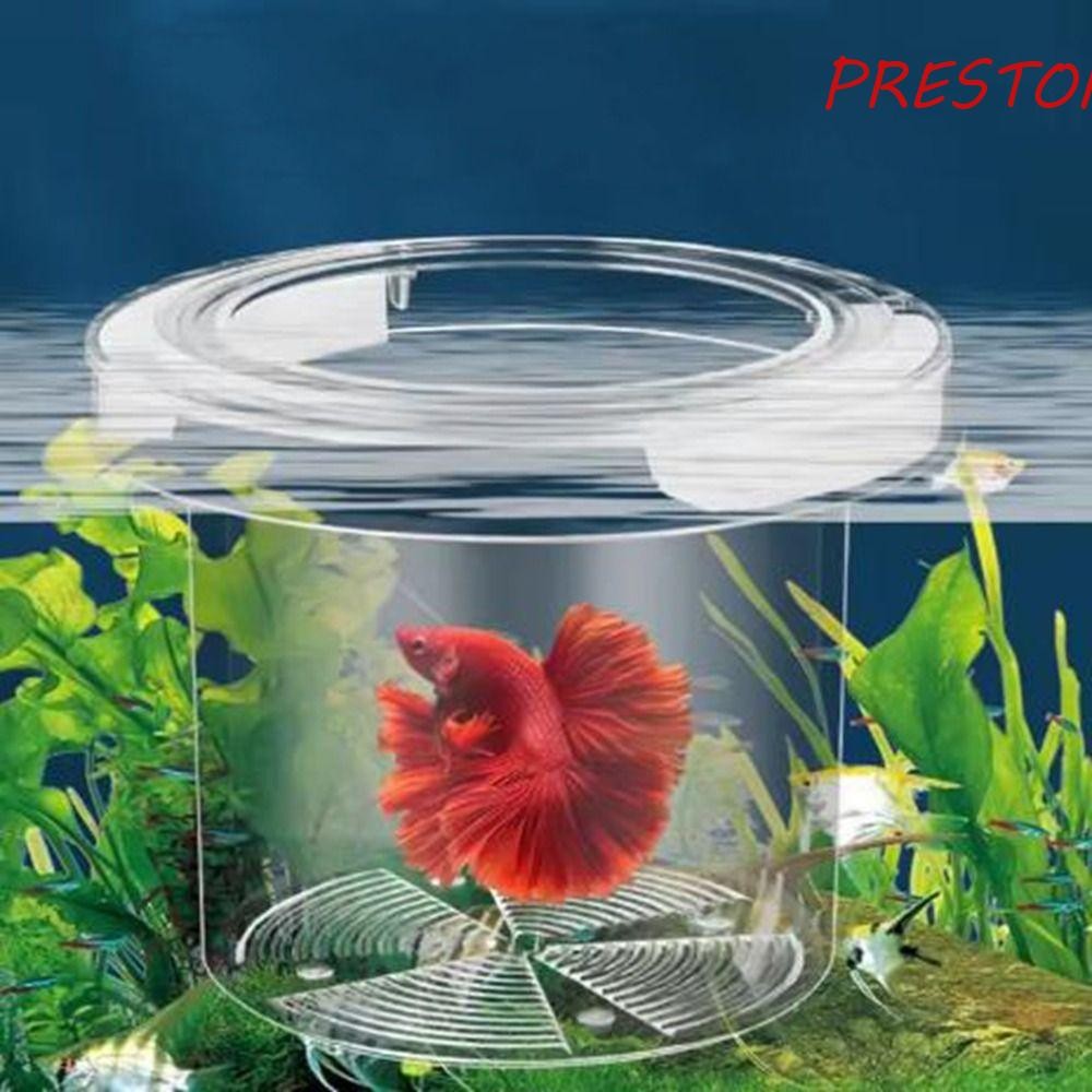 PRESTON Floating Fish Breeding Isolation Box, Acrylic Transparent ...