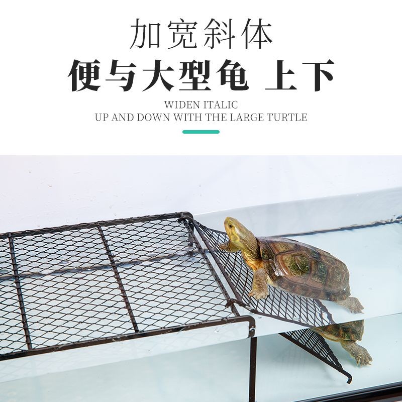 Turtle Rest Platform Turtle Tank Sunning Platform Climbing Turtle ...
