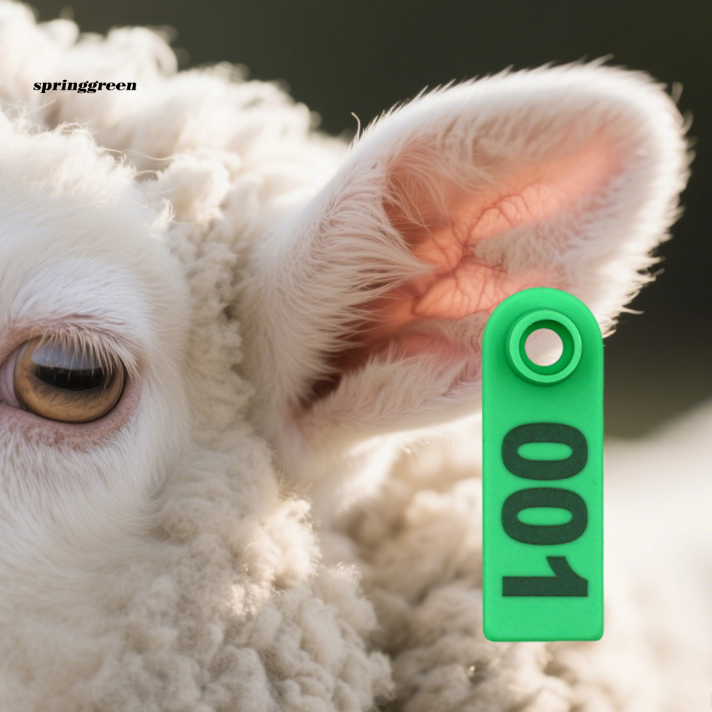 SPRINGGREEN| Sheep Ear Tags Farm Animal Identification 100 Number ...