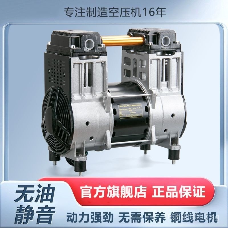 Air Silent Motor Original Pump Head Vacuum Pump Air Compressor Head Oil ...