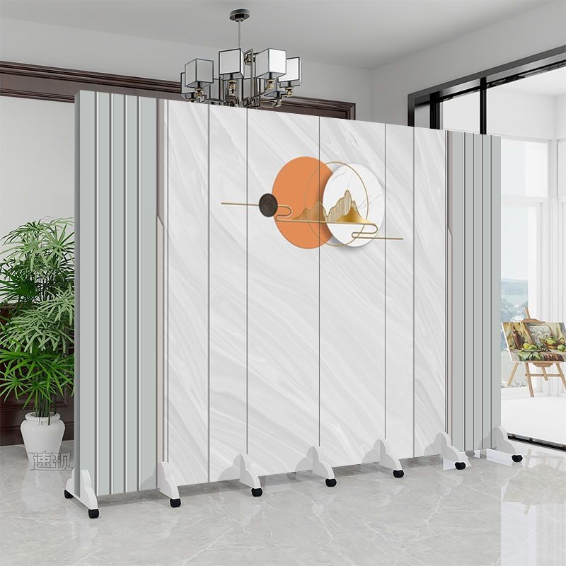 Minimalist Modern Screen Partition for Living Room, Bedroom, Office ...