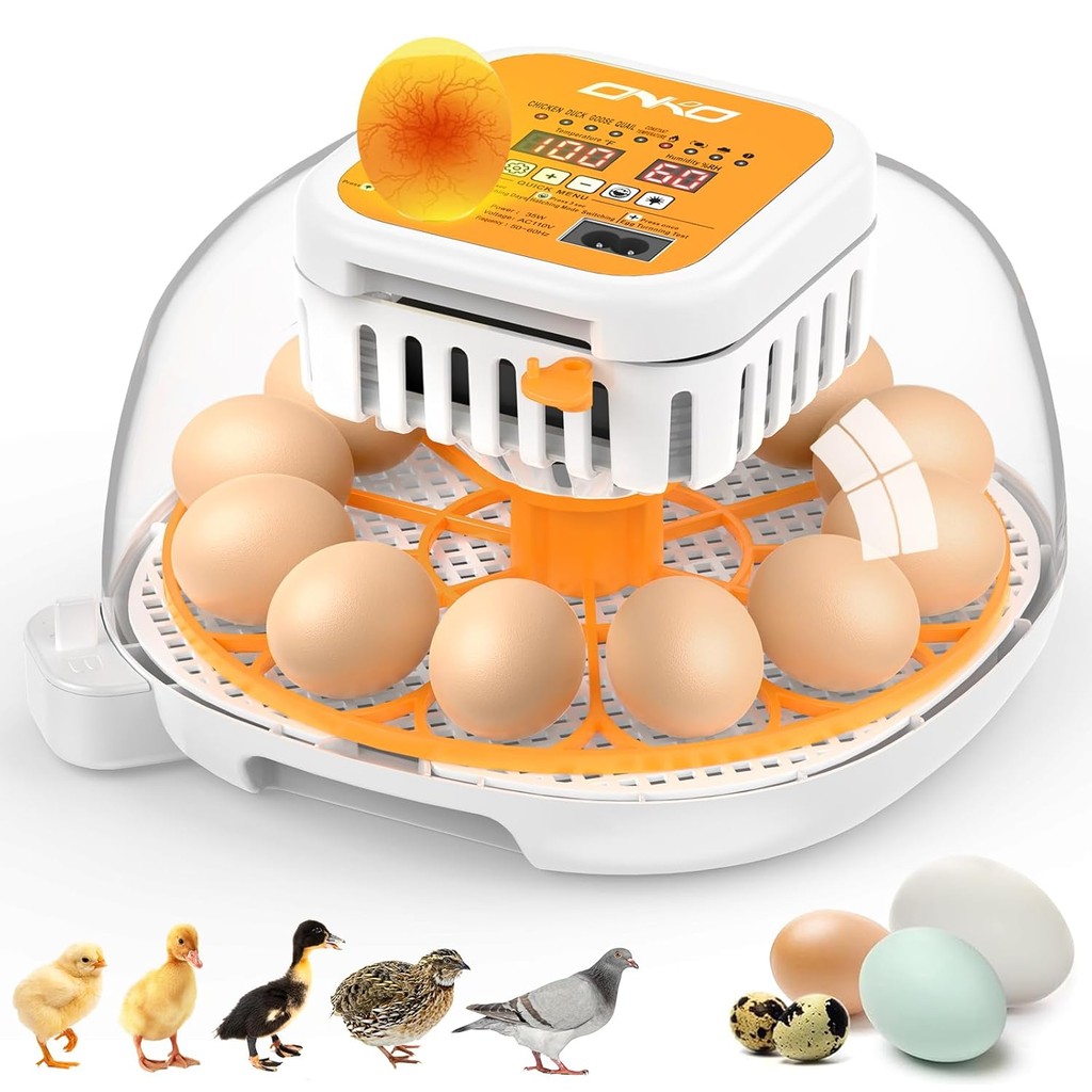 ONKO 12 Egg Incubator with Auto Temp & Humidity Control for Home, Farm ...