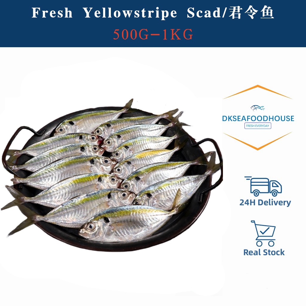 DKSEAFOOD Fresh Yellowstripe Scad / Kunning Fish 君令鱼 500g-1kg | Shopee ...