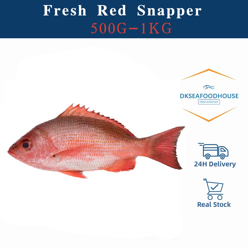 DKSEAFOOD Fresh Red Snapper 红鸡鱼 (Whole / Head / Fillet / Sliced / Steak) 500g-1kg | Shopee Singapore
