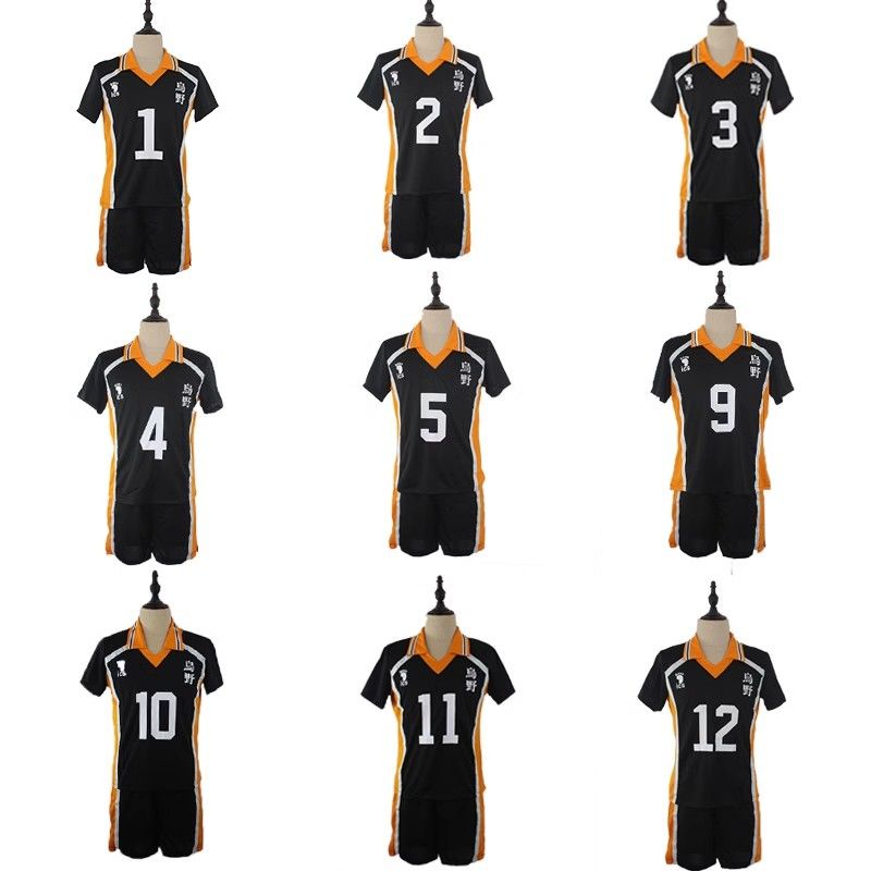 Haikyuu!! karasuno Yu Nishinoya/Hinata Shoyo/Daichi Sawamura/Azumane ...