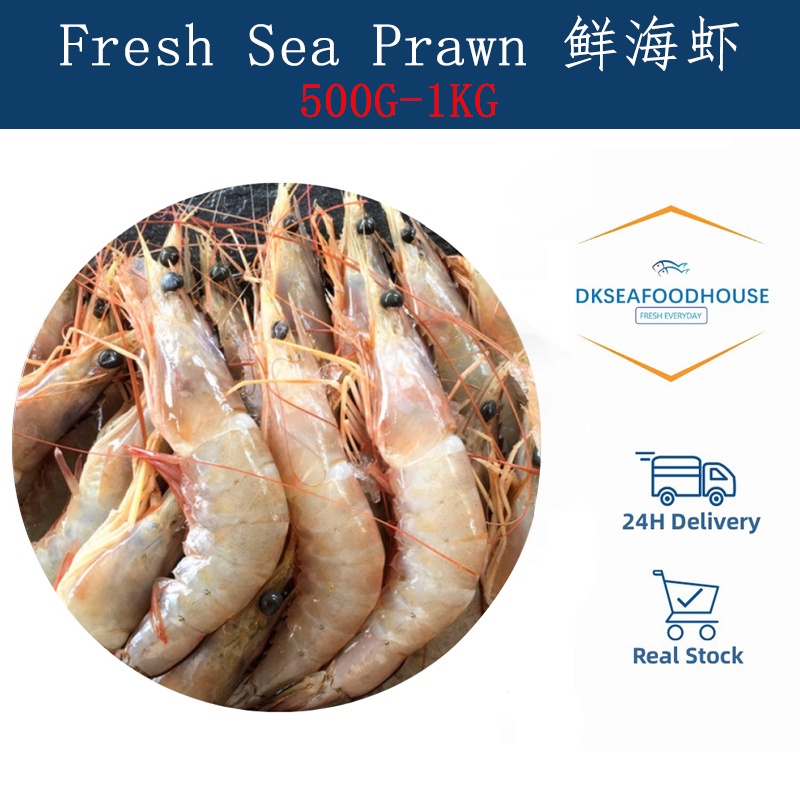 DKSEAFOOD Fresh Sea Prawn / Big Prawn 鲜海虾 500g-1kg | Shopee Singapore