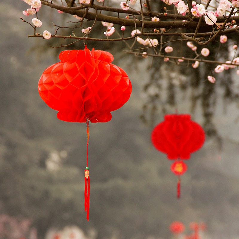 Spring Festival Red Lantern 2024 New Year Red Lantern Chinese Mini Red ...