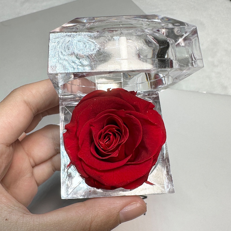 Eternal Real Flower Preserved Rose Valentine's Anniversary Mothers Day ...